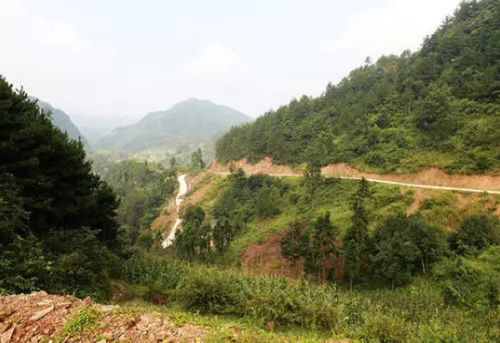 BWSENSING Geological disaster monitoring system solution